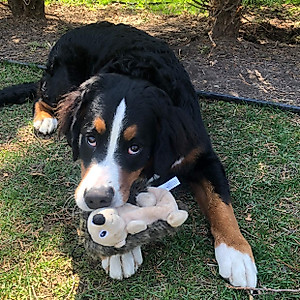 SmartPetLove Snuggle Puppy Tender-Tuffs Crinkle - Large Tough Plush Stuffed Hedgehog Animal Dog Toy with Puncture Resistant Squeaker and Super Strong Seams