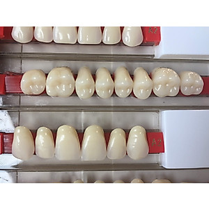 SDent® 2 Boxes 2 Layers Super Hard Synthetic Resin Teeth Multi-Layer Acrylic Composite False Teeth Denture Polymer Polymerial Materials & Full Set & A3 & 84PCS More Options on Size Name Chart