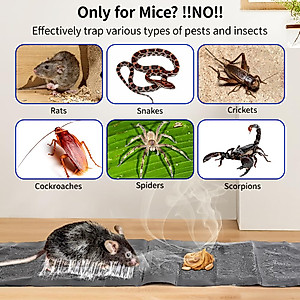6 Pack Mixed Sizes Large Rat Traps, Heavy Duty Sticky Mouse Traps for House Indoor, Extra Strength Snake Traps for Mice Rat Snake Roach Lizard Spider Scorpion and Other Pests