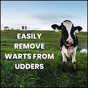 Creative Science Wartsoff Wart Removal Ointment | 4 oz | Easily and Painlessly Remove Warts from Dogs, Cattle, Horses, and Goats