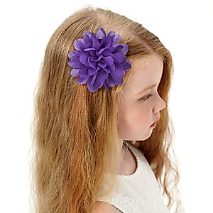 30pcs Baby Girls Alligator Hair Clips Chiffon Flower Hair Barrettes Accessories for Kids Toddler Teens