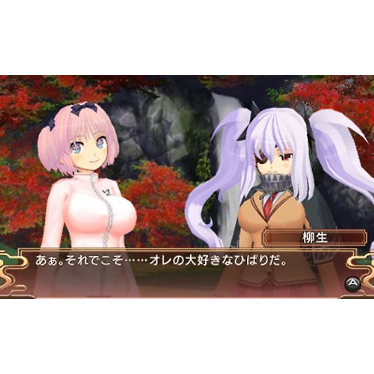 Senran Kagura - Secret File-visual Book and Soundtrack Drama Cd Set - With Benefits Girls - Shin'ei of Girls