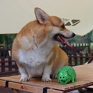 HCHYEY Pig Squeaky Dog Toy, 2 PCS Interactive Rubber Dog Chew Toy - Durable Latex Spot Grunting Pig Toys That Oink for Small Medium Large Dogs (Yellow, Green)