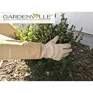 Leather Pruning Gloves (Large, Beige)