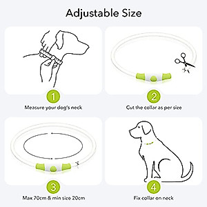 Colaseeme LED Dog Collar Light Up Dog Collars 1 Count USB Rechargeable TPU Glow Safety Basic Dog Collars for Large Medium Small Dogs (Green)