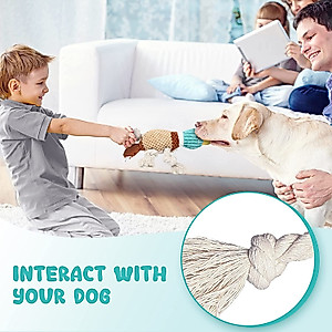 IPORLEER Squeaky Dog Toys, Stuffed Dog Toys for Large Dogs, Soft & Durable Plush Dog Chew Toys with Crinkle Paper for Puppies