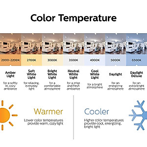 Philips LED Flicker-Free Vintage ST19 Light Bulb, Dimmable Warm Glow Effect, EyeComfort Technology, 800 Lumen, 2700-2200k, 8W=60W, E26 Base, Title 20 Certified, 4-Pack (Warm to glow)
