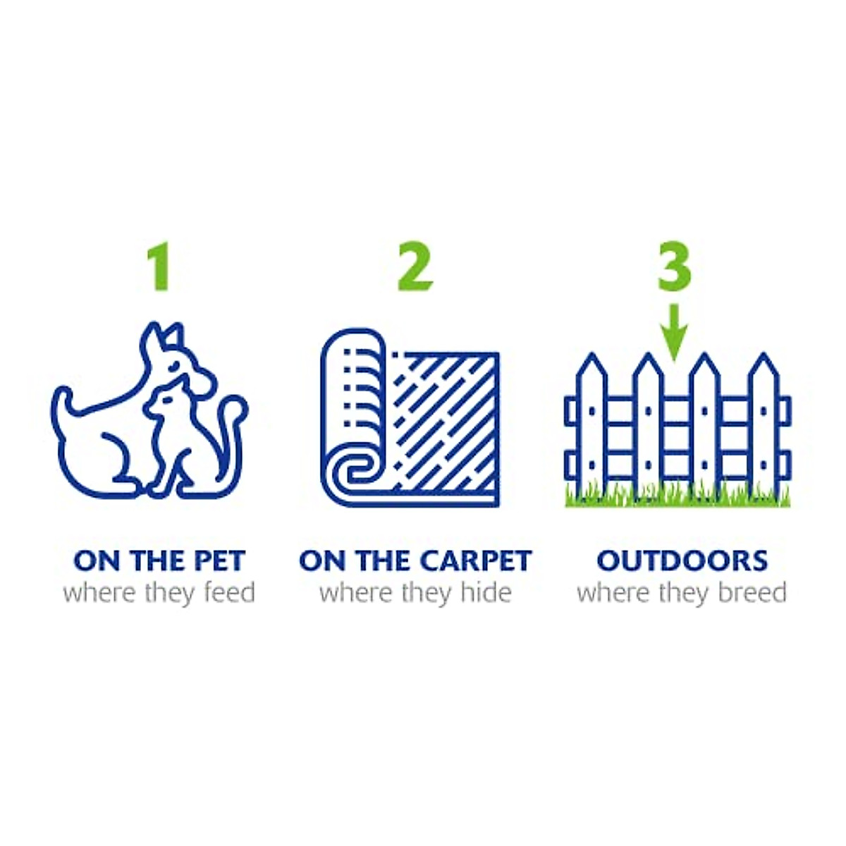 Flea Destroyer Beneficial Nematodes Steinernema Feltiae (SF) for Organic Natural Outdoor Lawn and Garden Flea, Grub Control, 10 Million Size in 16 oz Container