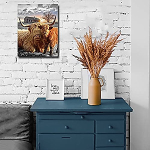 Highland Cow Canvas Wall Art Animal Print Pictures Highland Fluffy Cattle Photo Framed Farmhouse Painting 12x16 inches for Home Decor