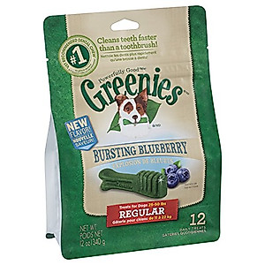 Greenies Bursting Blueberry Dog Dental Treat Regular Size 12 count - Pack of 3