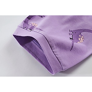 Little Hand Kids & Toddler Girls Dinosaur Pajamas 2 Piece Pjs Short Sets Summer Purple Sleepwear 5T