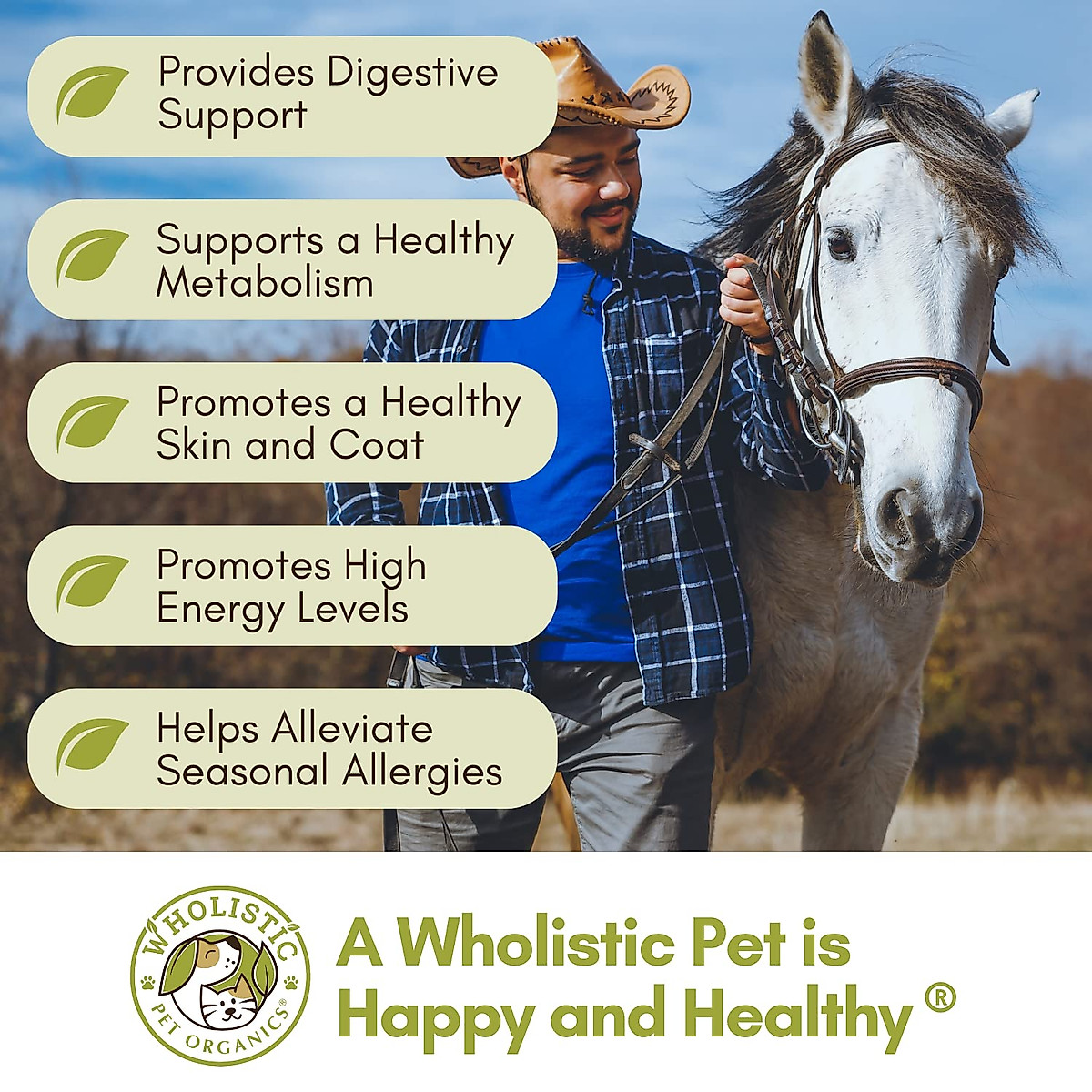 Wholistic Pet Organics Equine Complete: Horse Multivitamin for Total Body Health - Horse Supplement with Vitamins, Minerals, Prebiotics, Probiotics, Antioxidants and More - 4 Lb