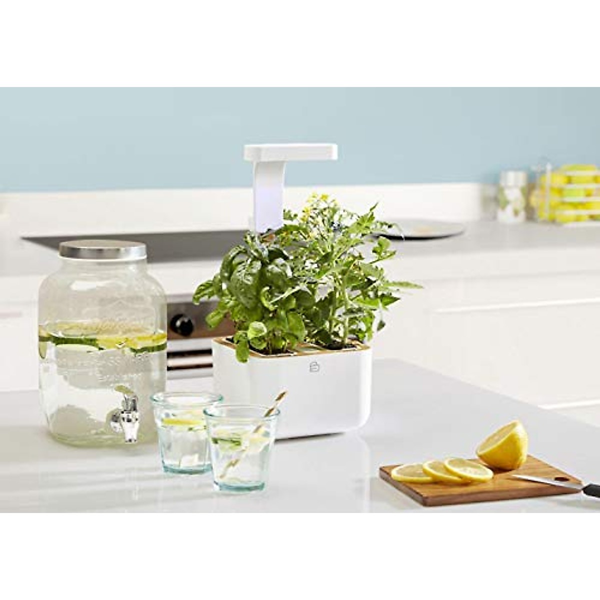 Véritable Botaneo Eylo Garden - Indoor Garden - Kit with 2 Lingot Automatic LED Lighting