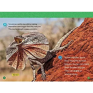 Reptiles (National Geographic Kids Readers, Level 1/Co-Reader)