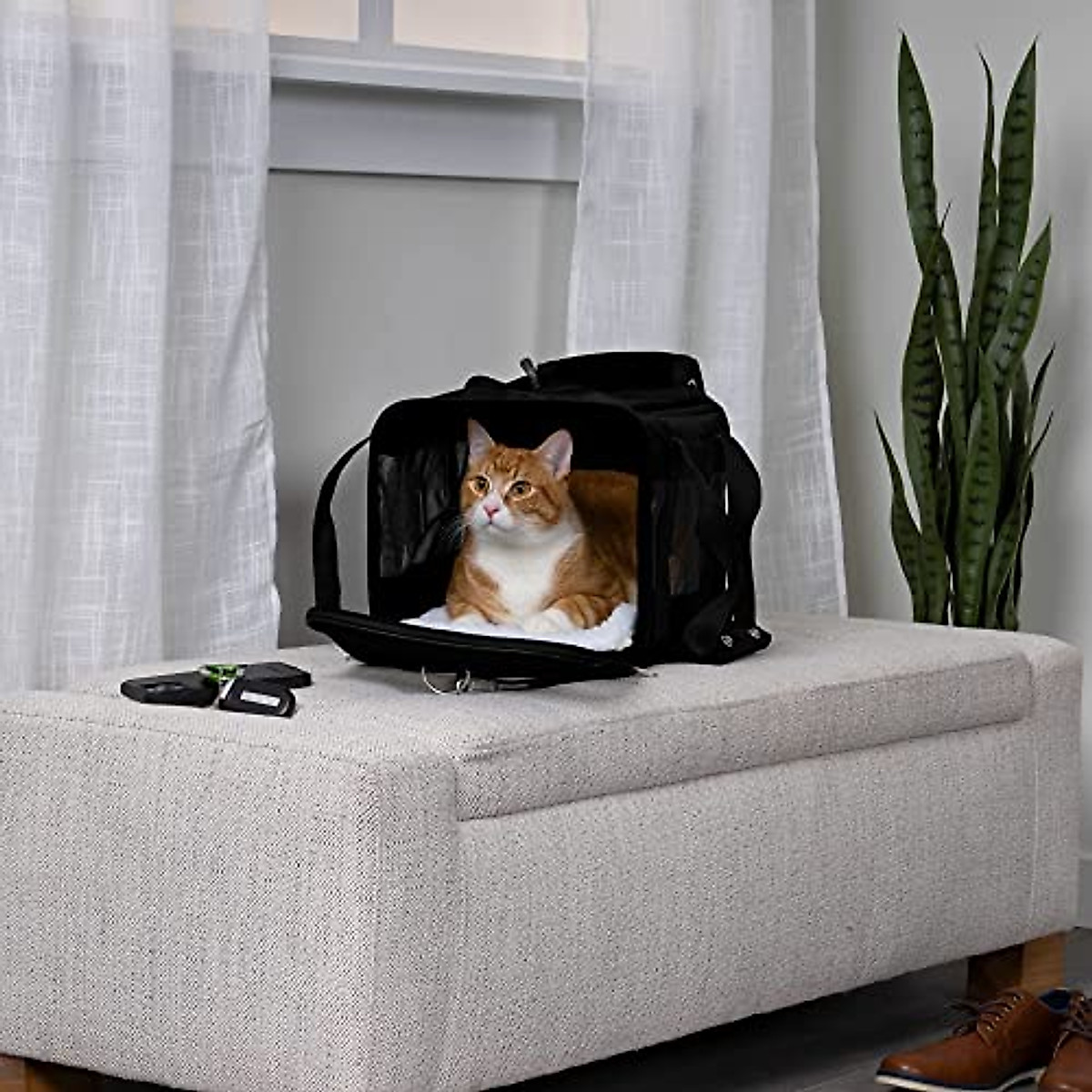 Sherpa® Original Deluxe™ Airline Approved Pet Carrier, Medium, Black