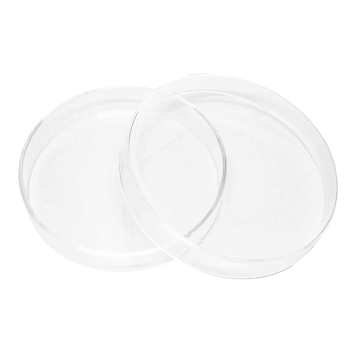 EISCO Petri Dish - 90 x 15mm - Soda Glass