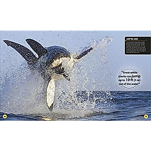 Super Shark Encyclopedia: And Other Creatures of the Deep (DK Super Nature Encyclopedias)