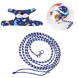 Yosoo Squirrel Harness, Adjustable Cute Angle Wings Comfort Harness Vest Clothes with Leash Hamster Gerbil Rat Mouse Ferret Chinchilla Small Animal Walking Toy (Light Blue)