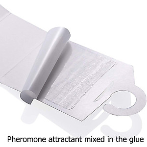 12-Pack Clothes Moth Traps with Pheromone Attractant for Closet and Carpet