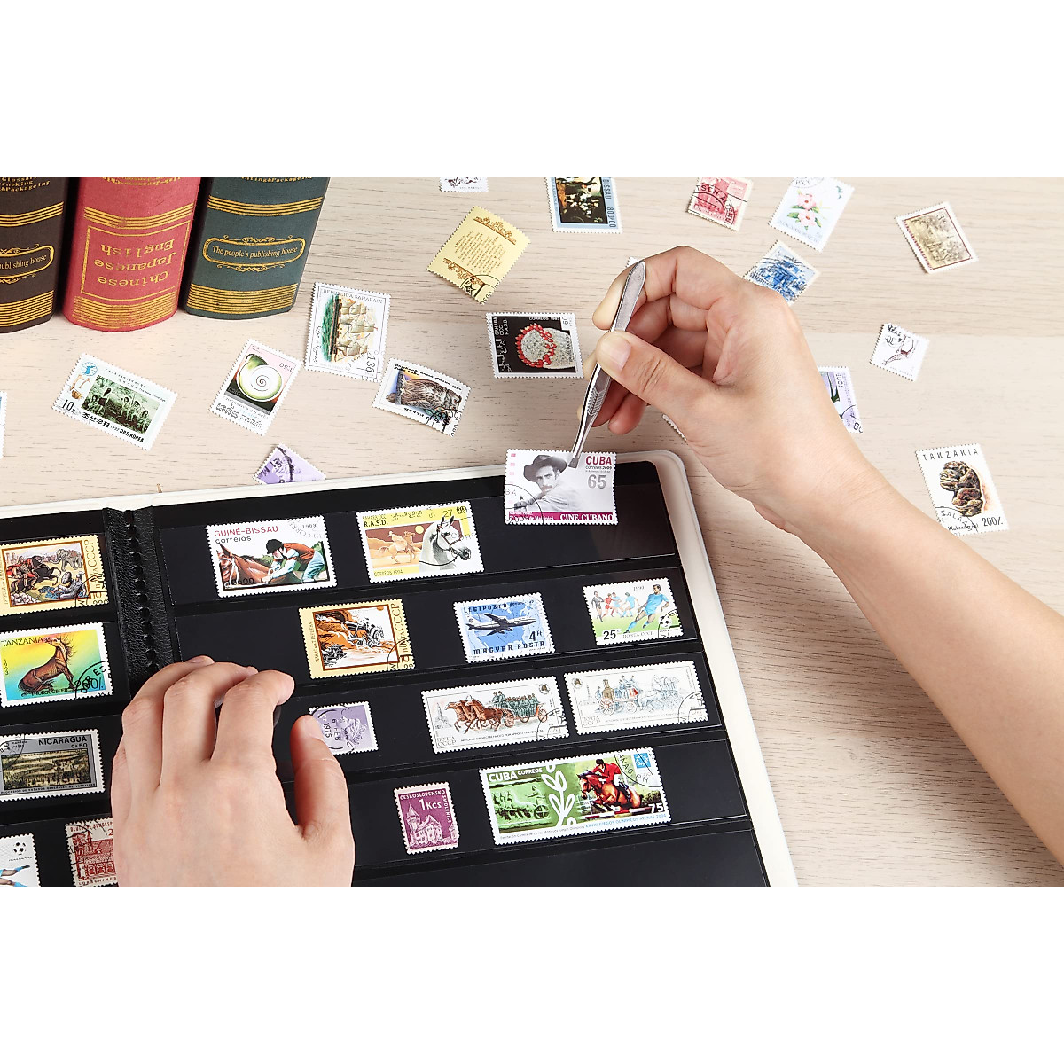 MUDOR Stamp Collecting Album, 7 Rows Pockets Stamp Book for Collectors, 10 Sheets Stamp Stockbook