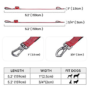 EXCELLENT ELITE SPANKER Strong Durable Nylon Dog Training Leash Traction Rope 5 Feet Long 3/4" Wide with Poop Bag Holder for Small Dogs(Pink)