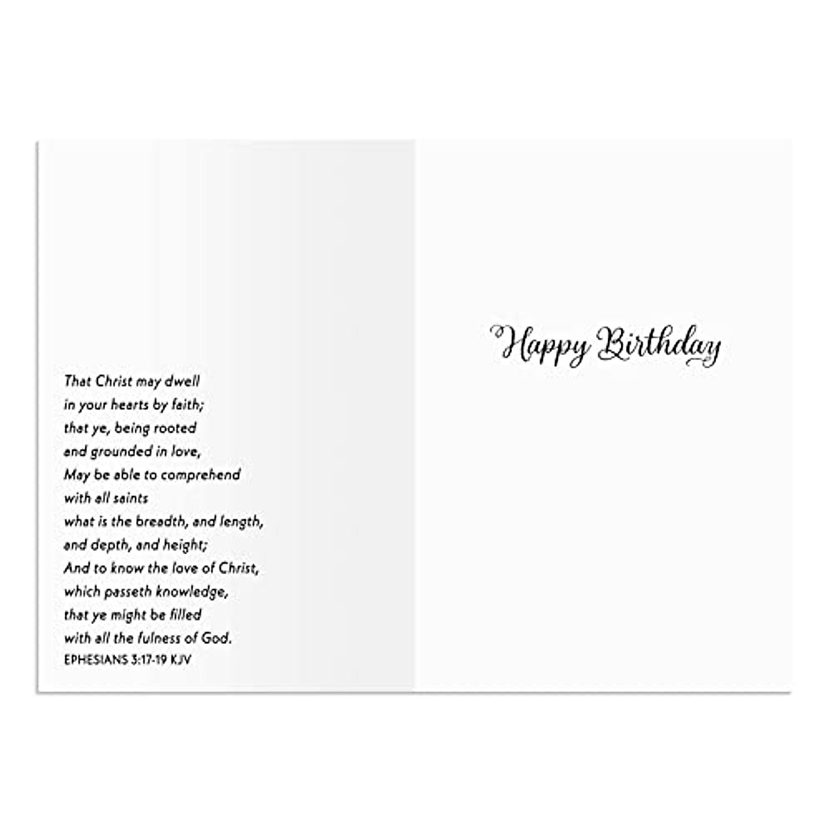 DaySpring - Roy Lessin - Happy Birthday - 4 Design Assortment with Scripture - 12 Birthday Boxed Cards & Envelopes (U1200)