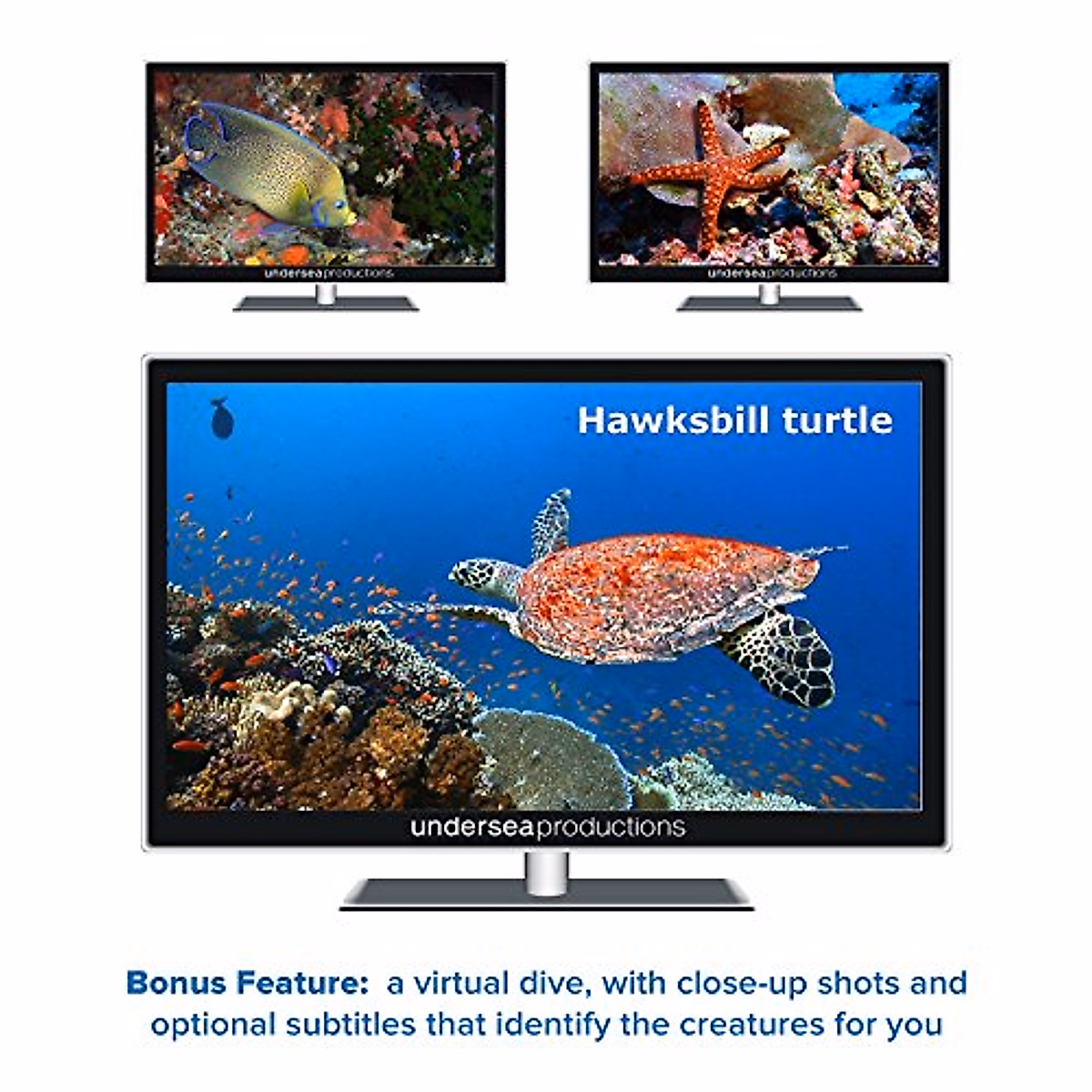 Reefscapes: Nature's Aquarium DVD, nature video of tropical fish and coral reefs filmed in the ocean, for relaxation and ambience