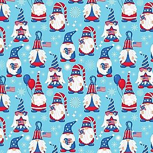 FAFAN Clear Adhesive Independence On Bundle Heat Bundle Vinyl Patterns for Shirts Happy Suitable Vinyl HTV Transfer Day Heat Transfer Vinyl Vinyl Sheets Clear Roll (D, One Size)