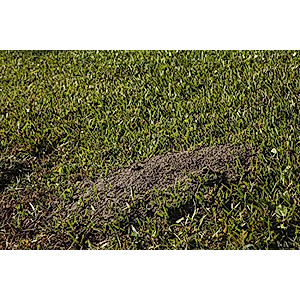 Orthene Fire Ant Killer, 12-oz.