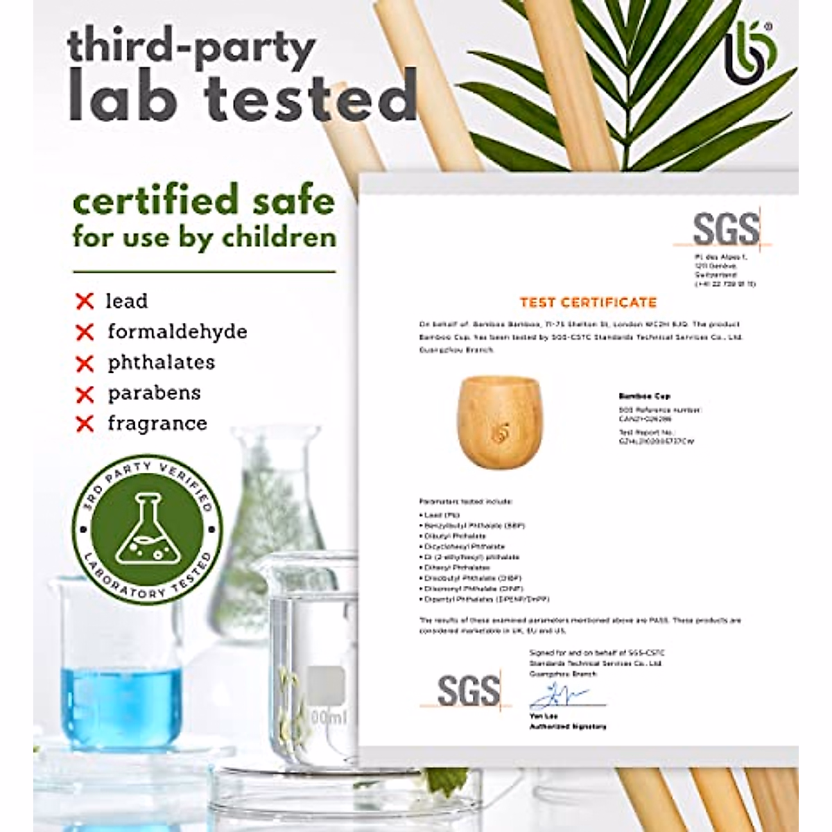 Bamboo Baby and Toddler Sippy Cup - 5 Oz Eco-Friendly Dinky Cup with Cute Silicone Drip Rim for Teeth and Gum Protection - Ideal Toddler Transition Cup (Green)