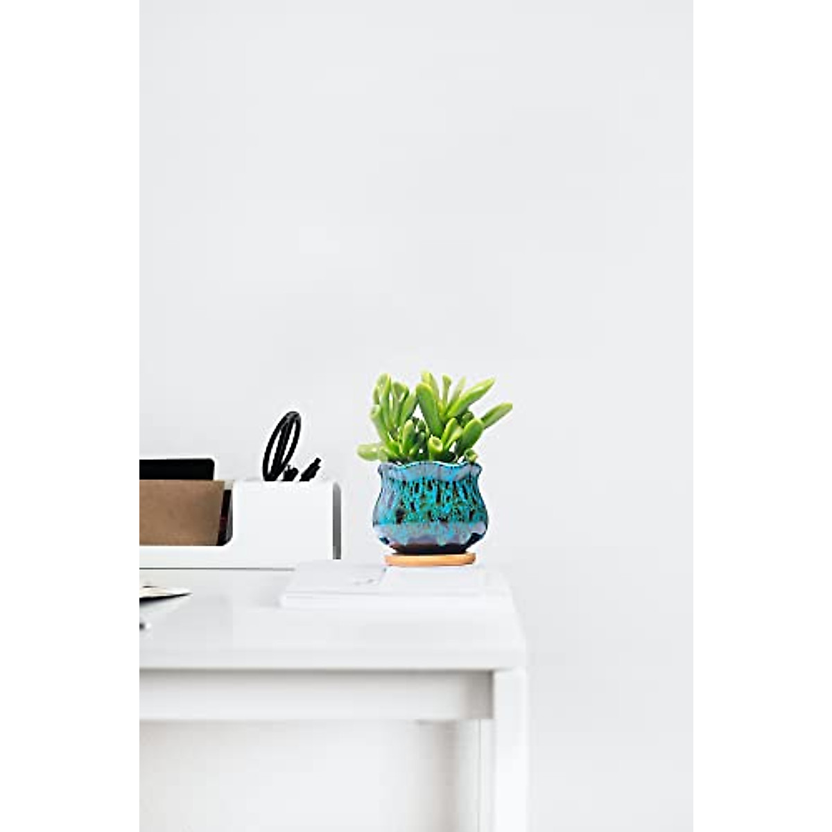 Cute Ceramic Succulent Garden Pots, Planter with Drainage and Attached Saucer, Set of 5 - Plants Not Included (Fambe)