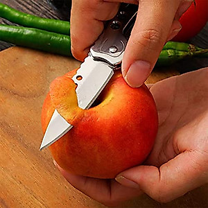 FEIZII Multi Functional Small Folding Knife Mini Pocket Knife 2 Inch Fine Blade Stainless Steel, Universal for Men and Women (12PACK)