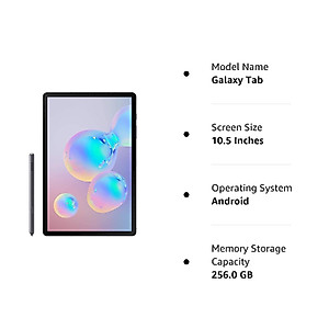 Samsung Galaxy Tab S6 10.5 inches, 256GB WiFi Tablet Mountain Gray - SM-T860NZALXAR (Renewed)