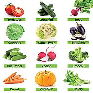 Heirloom Vegetable Seeds -100% Non-GMO - 1000 Garden Seeds Survival Pack - Tomato, Broccoli, Carrot, Celery, Cucumber Seeds and More