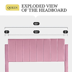 HOOMIC Queen Size Platform Bed Frame with Velvet Upholstered Plush Vertical Channel Headboard, No Box Spring Needed, Easy Assembly,Pink
