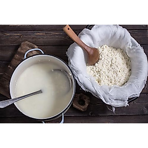 LOVARE Meito Rennet for Cheese Making - Cheese Making Enzymes - Rennet for Making Fresh Cheese 4 x 1 gr. (for 105 gallons/400L of milk) by QG group