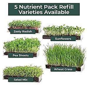 Window Garden Microgreens Grow Kit - Non GMO, Organic Microgreen Seeds, Fiber Soil, Acrylic Tray, Sprayer - Indoor & Outdoor Tools for Gardening, Seedling, Planting Superfood, Hydroponic Growing Kit