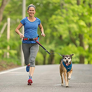 Kurgo K9 Excursion Belt, Hands Free Dog Running Belt, Running Dog Leash Belt, with Poop Bag Dispenser, Adjustable, Reflective Trim, Two Leash Clips, for Running, Walking, Hiking
