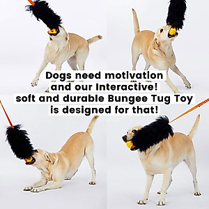 HOWGO Dog Rope Toy,Dog Bungee Chaser Toy 100% Sheepskin,Sheep Smell Tug Toy for All Breeds (Purple, Large)