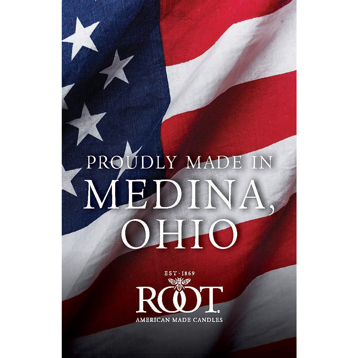 Root Candle s Legacy Honeycomb Traveler Beeswax Blend Premium Handcrafted Scented Candle, 4-Ounce, BlackBerry Honey