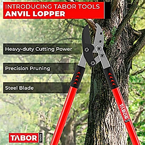 TABOR TOOLS GG12A Anvil Lopper with Compound Action, 30 Inch Tree Trimmer, Branch Cutter with ⌀ 2 Inch Cutting Capacity, Chops Thick Branches with Ease.