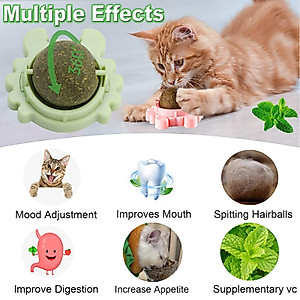 SUGVUHO 3 Pack Catnip Ball Cat Toy Cat Nips Organic Ball Catnip Wall Balls for Cats Cat Licking Ball Cat Teeth Cleaning Toy Cat Mint Silvervine Cat Toy Catnip and Silvervine for Cats