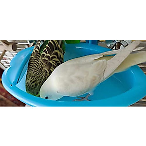 Clpoawc Bird Bath for Cage with Mirror,Bird Baths Tub Parakeet Fountain,Bird Large Parrot,Portable Accessories Small Lovebird Finch Budgie Canary Blue
