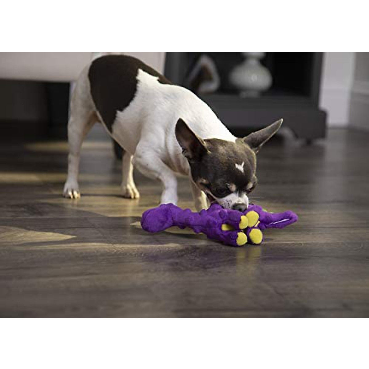 goDog Just For Me Bruto with Chew Guard Technology Plush Dog Toy, Purple, Mini