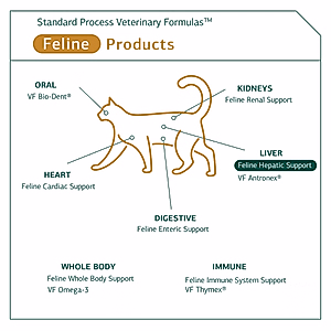 Standard Process Feline Hepatic Support - Cat Health Supplement for Liver Support - Hepatic Circulation & Liver Metabolism Aid - Tablet Supplement to Aid Hepatic Immune Function - 90 Tablets