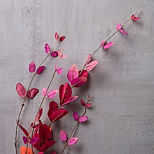 Ashland Michaels Bulk 12 Pack: Burgundy Honeysuckle Leaf Spray