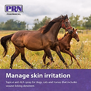 PRN Pharmacal Hexa-Caine Dog & Cat Anti-Itch Spray - Topical Anti-Itch Spray to Provide Quick Relief to Soothe Minor Skin Irritation in Horses, Dogs, & Cats - 4 oz Spray Bottle