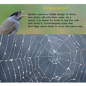 CollidEscape Spiderweb Clear Bird Tape for Windows (3/4" x 40' - Covers 2 to 3 Windows) | Window Decals to Prevent Bird Strike Prevention for Windows | Clear