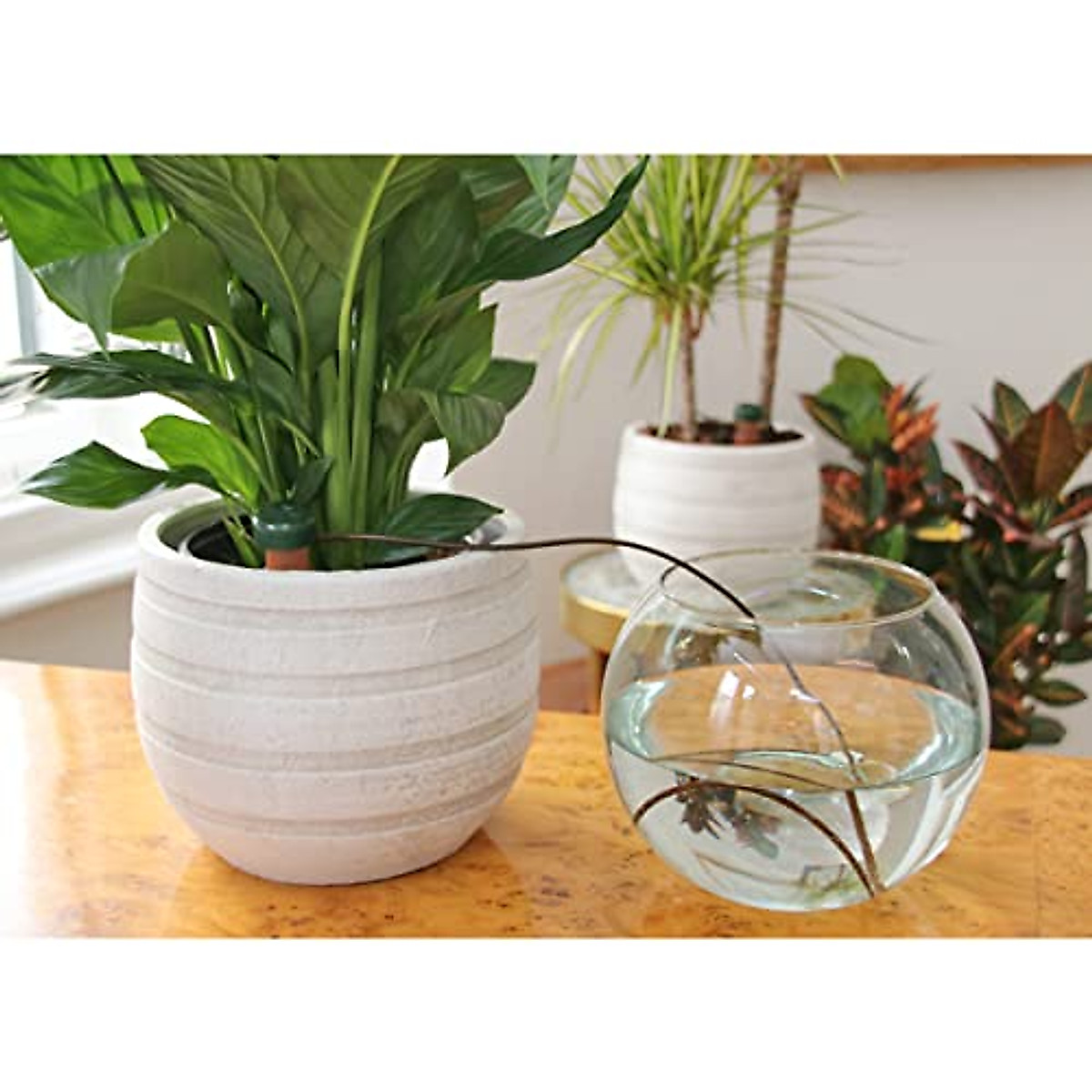 Blumat Classic Plant Watering Stakes | for Everyday Home or Vacation Use | Indoor or Outdoor Water Spikes for Plants | Automatic Drip Irrigation (3 Pack)