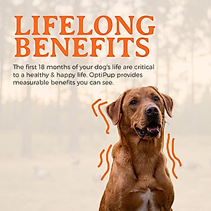 Alpha Dog Nutrition OptiPup All-in-1 Puppy Multivitamin Contains 31 Superfoods Including Probiotics and Prebiotics for Digestive Support, Skin & Immune Health, and Optimum Growth (60 Servings)